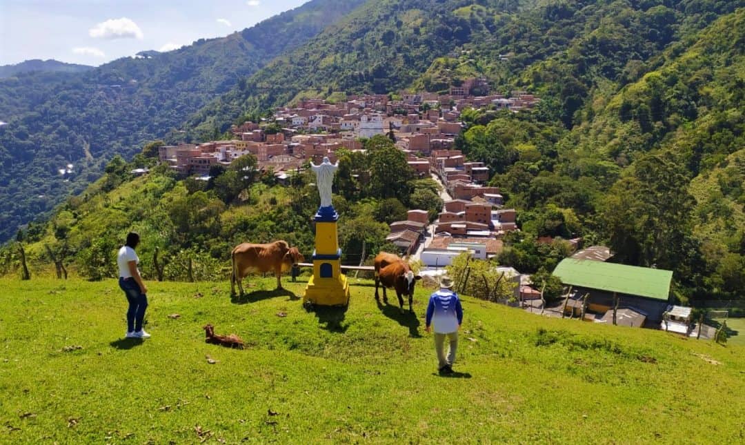 Program Higabra Entrepreneurs for Continental Gold - Colombia - Insuco