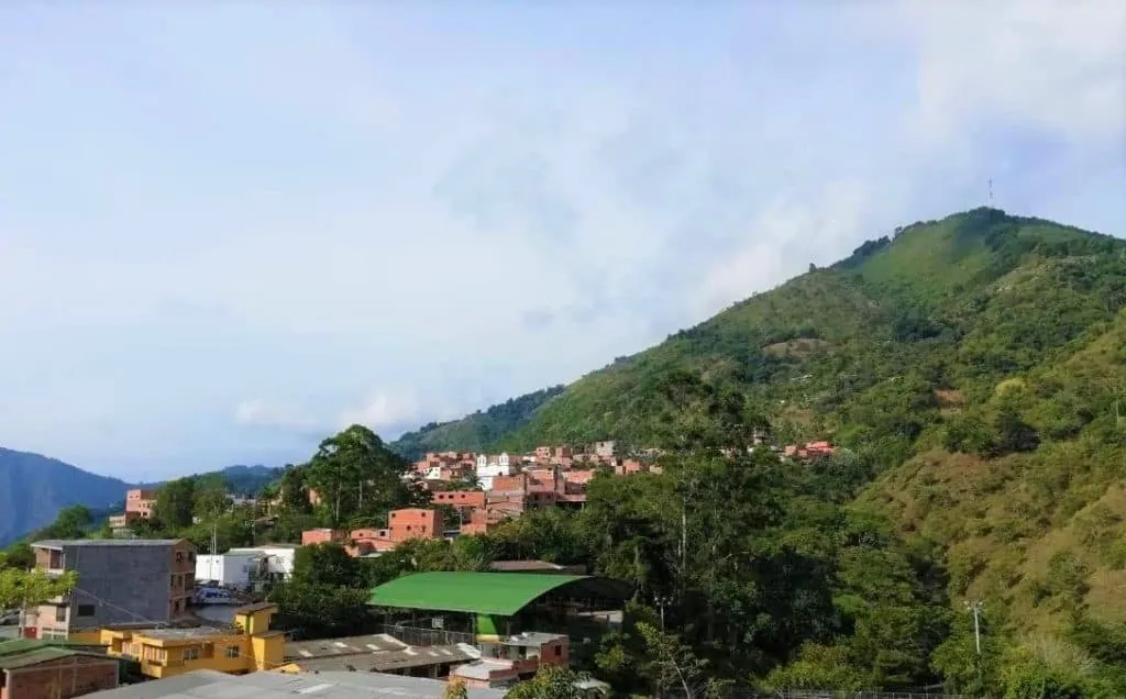 Estudio de factibilidad para Continental Gold - Colombia - Insuco