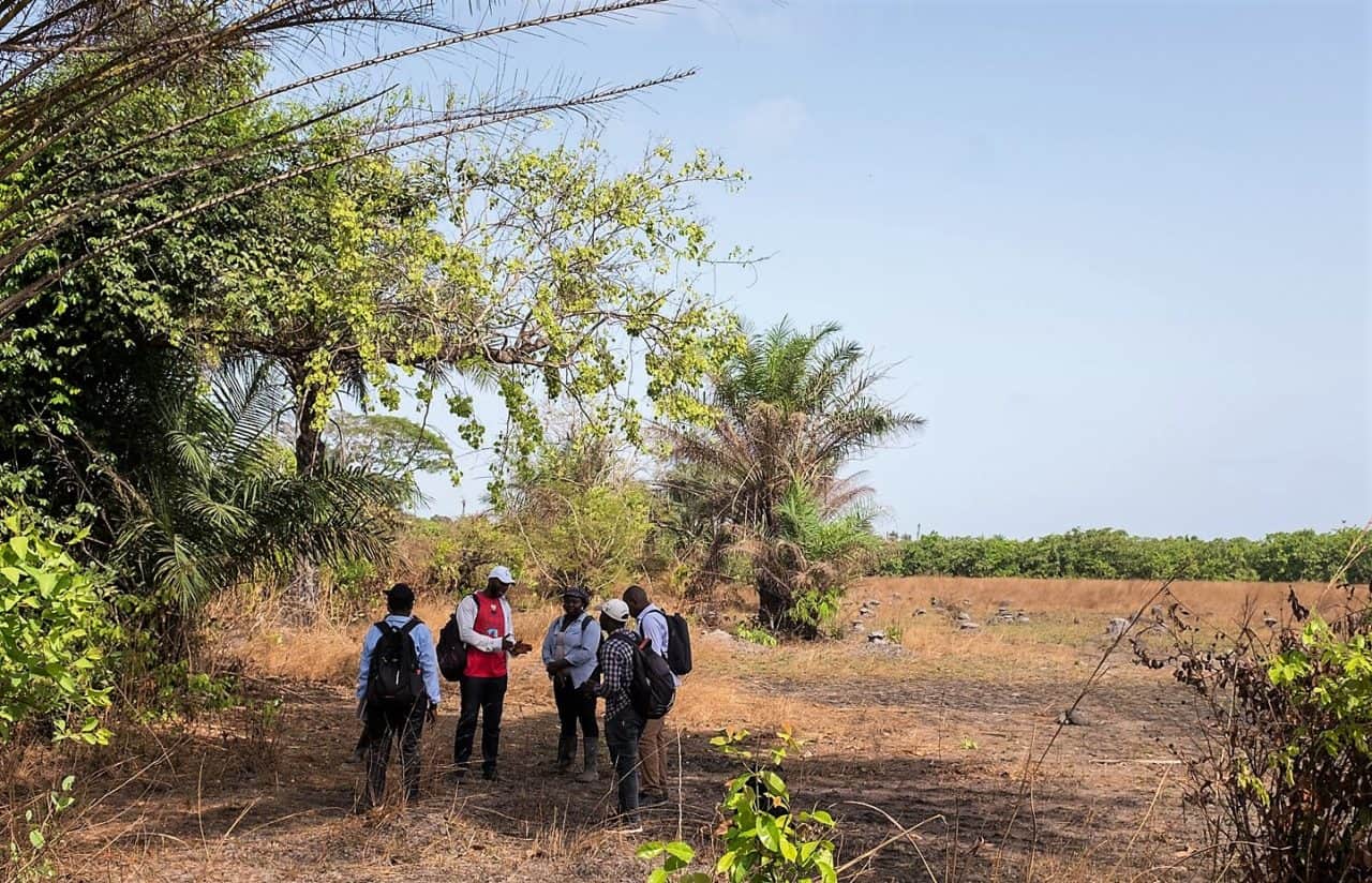Mise à jour du PAR du projet minier de Dynamic Mining – Guinée - Insuco